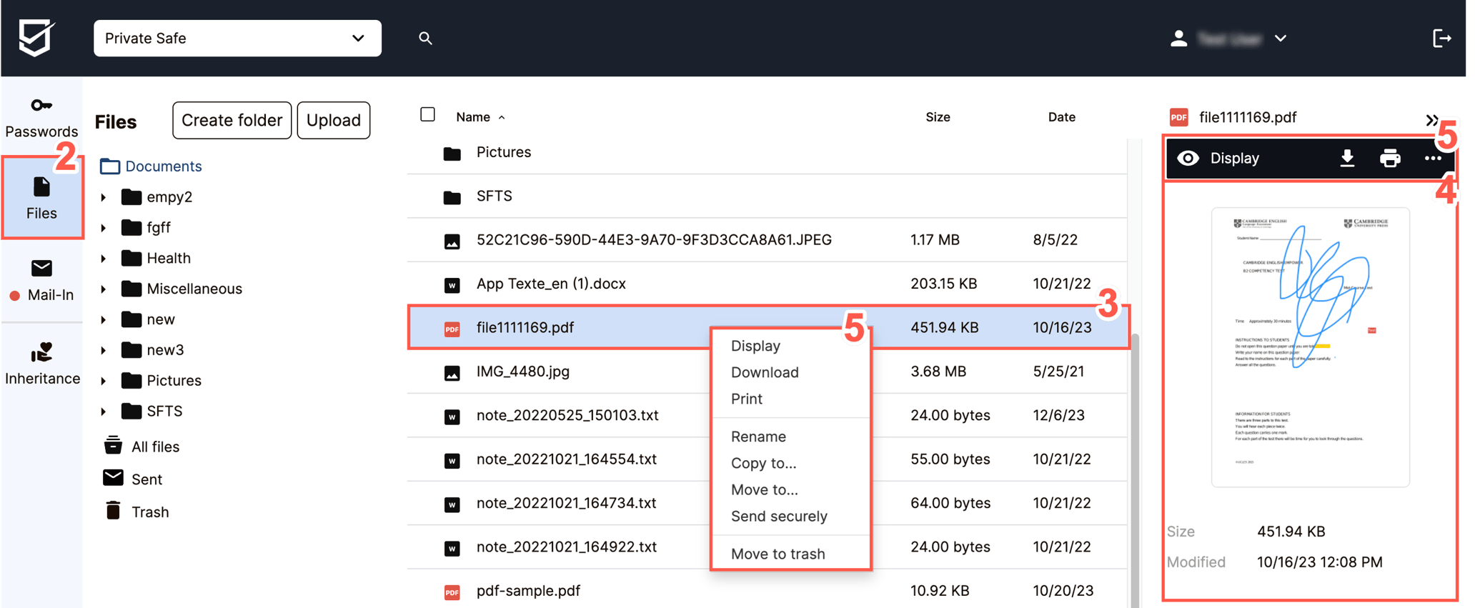 Files Interface: Organizing Files on SecureSafe