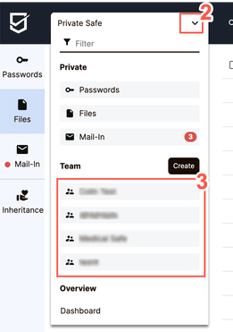Managing Passwords in a Team Safe: How to Add Passwords and Use Them